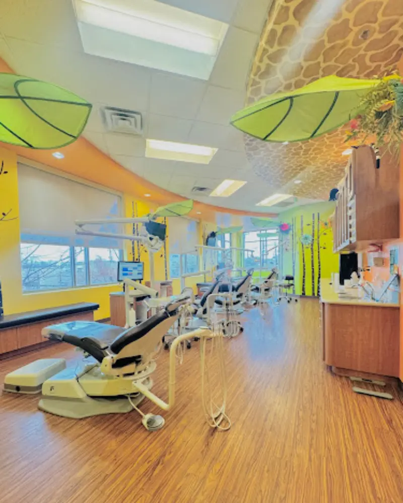 Pinnacle Pediatric Dentistry Houston Tx 77007 Best Children Dentists